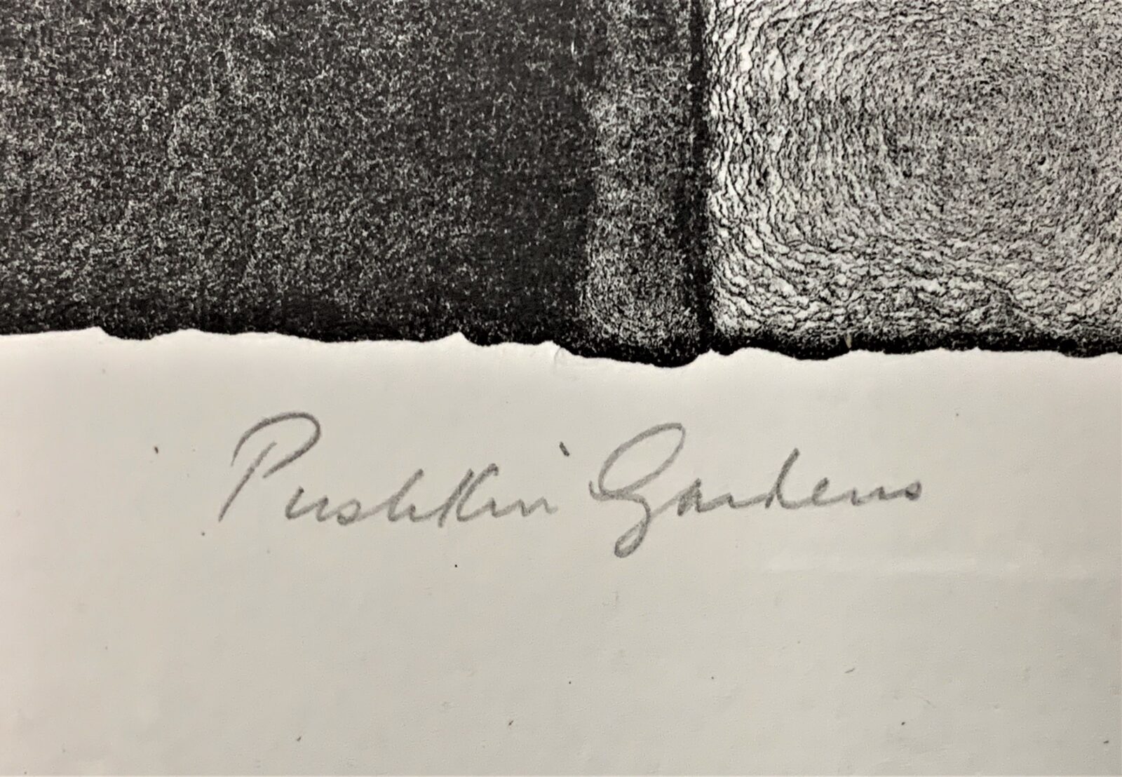 Pushkin Gardens – Washington Color Gallery